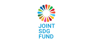 Joint SDG Fund - Sustainable Innovation Forum